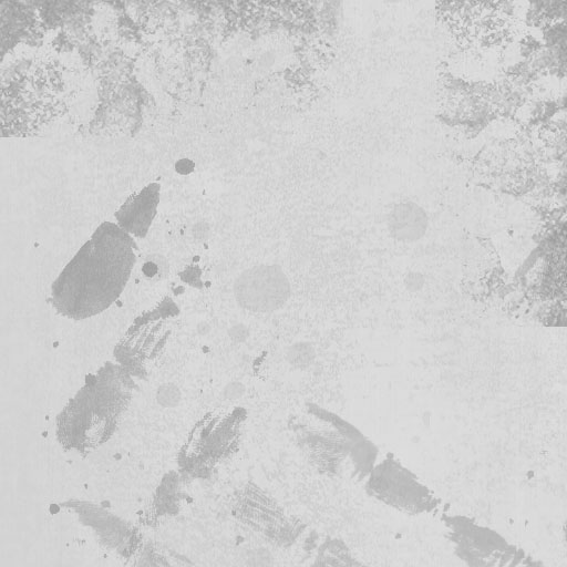 CGTalk | general help in learning